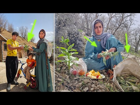 The Life of an Iranian Nomadic Mother: Building a Family Shelter with Love in a Time of War