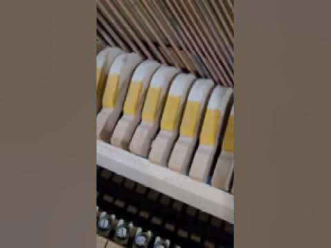 WHY the strings of the upright piano (C#2) resonating when hit the (C2 ...