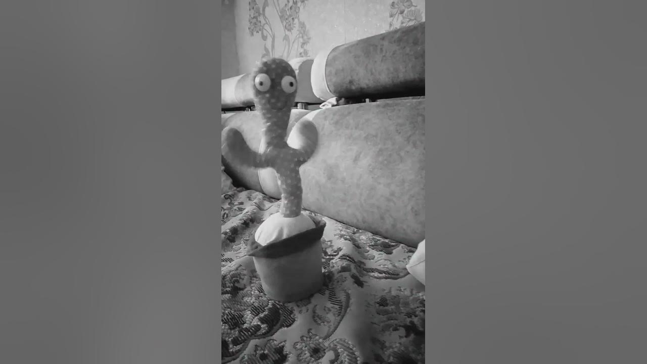 Кактус танцует - YouTube