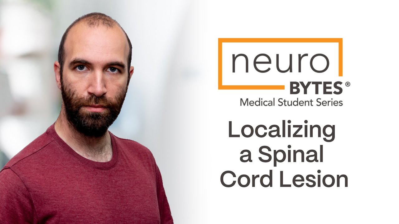 Localizing a Spinal Cord Lesion - American Academy of Neurology - YouTube