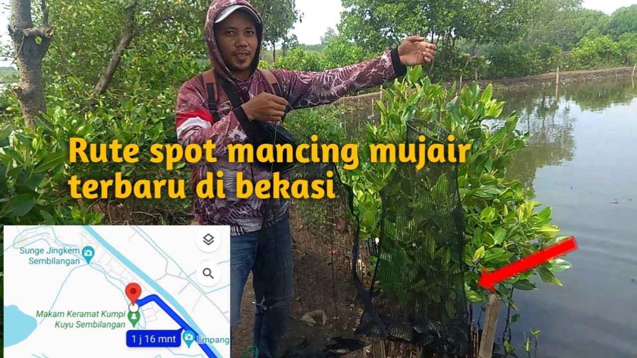Rute spot mancing mujair terbaru..!! Tiket 20 k mancing sepuasnya @BONTOTMANCING - YouTube