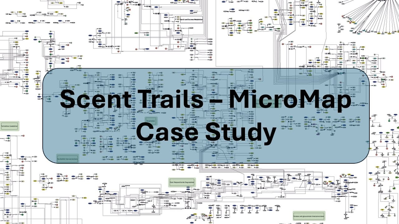 Scent trails: tracking H2S production with the MicroMap - YouTube
