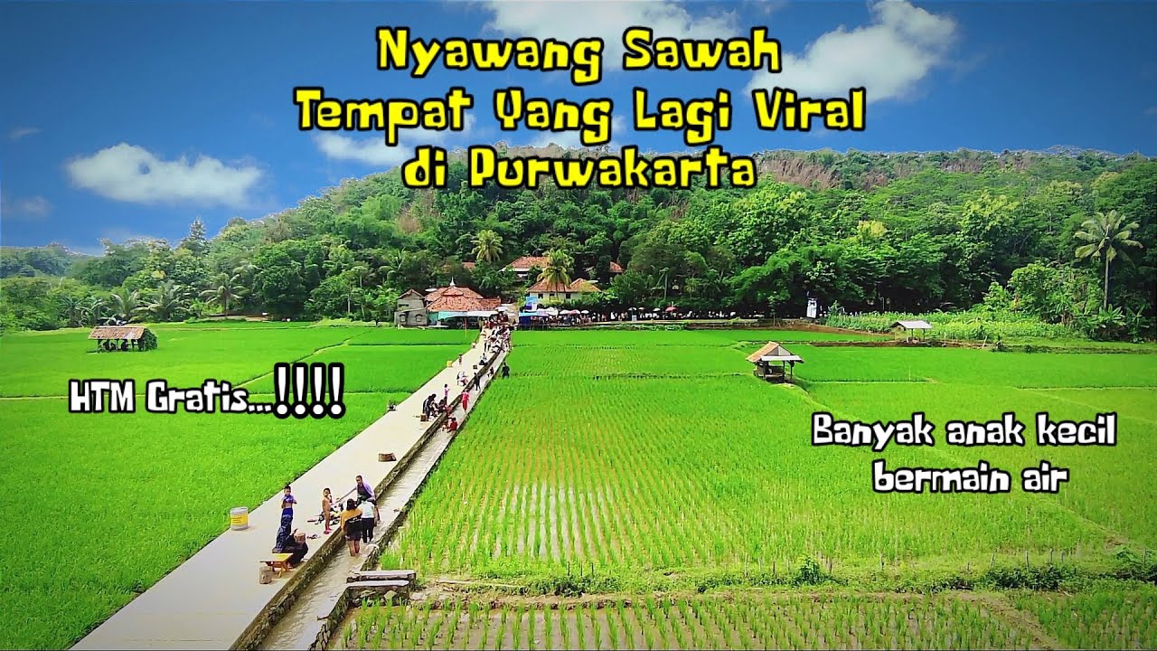 Nyawang Sawah Tempat Menikmati Suasana Pesawahan di Purwakarta - YouTube