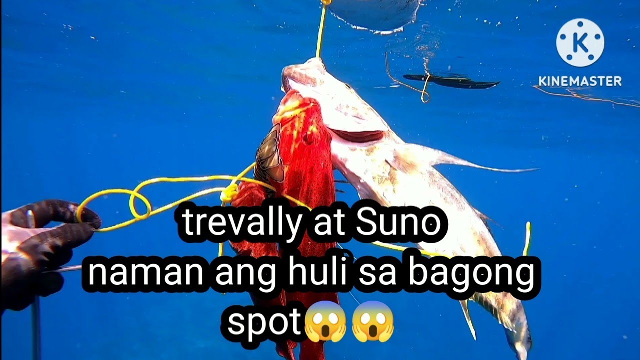 Super linaw ng tubig sa bagong Spot | Spearfishing trevally and Coral ...