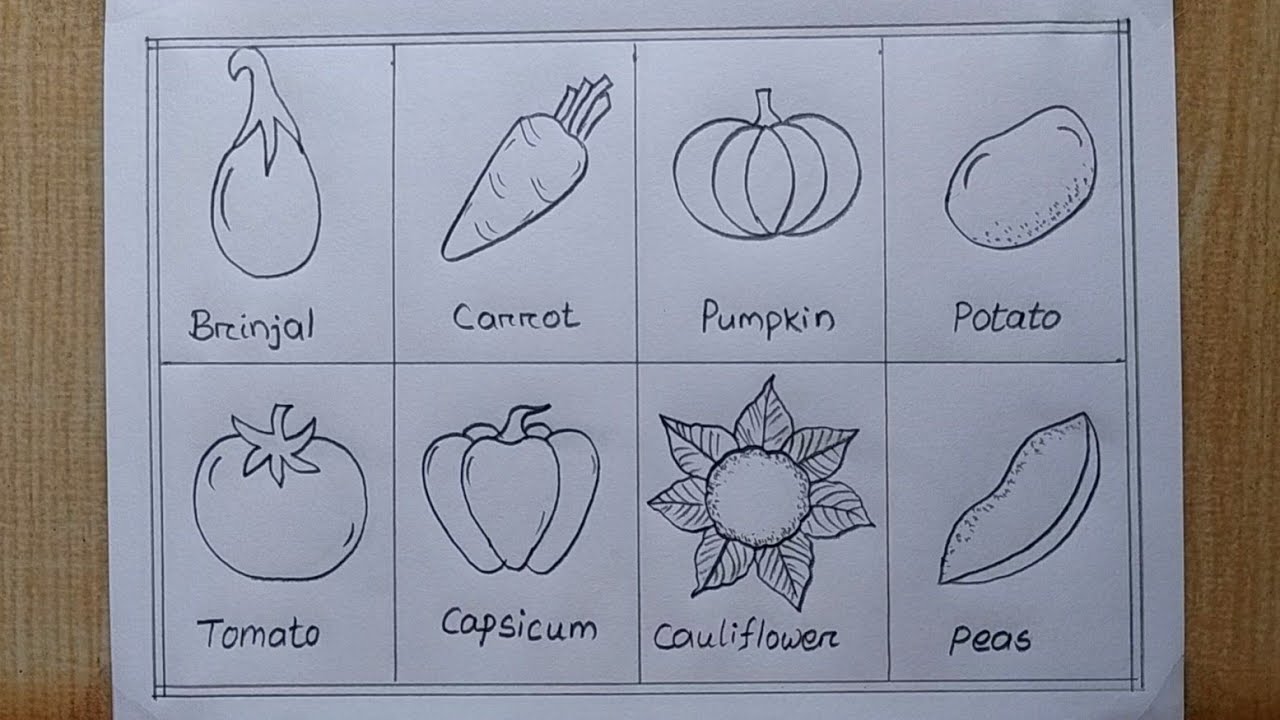 Different types of Vegetables drawing easy| How to draw 8 different ...