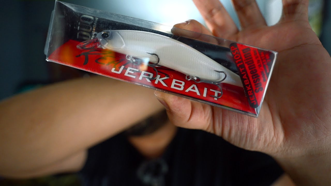 THE BEST JAPANESE JERKBAIT! DUO REALIS 110SP, 120SP, 130SP REVIEW Fall, Winter, Spring, Summer ...