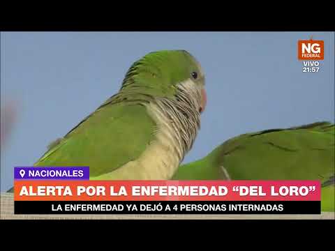 NGFEDERAL - ALERTA POR LA ENFERMEDAD “DEL LORO” - NACIONALES