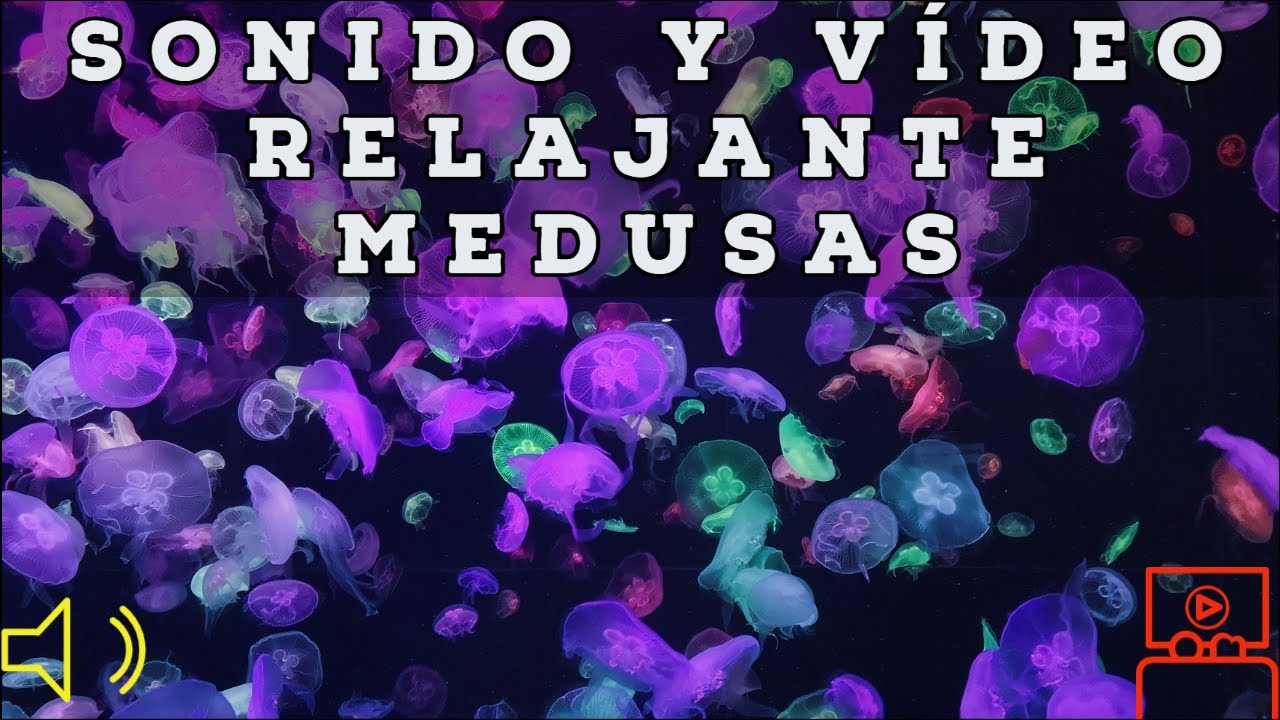 🎶Música Sonido y Vídeo Relajante Medusas | Relaxing Jellyfish Music ...