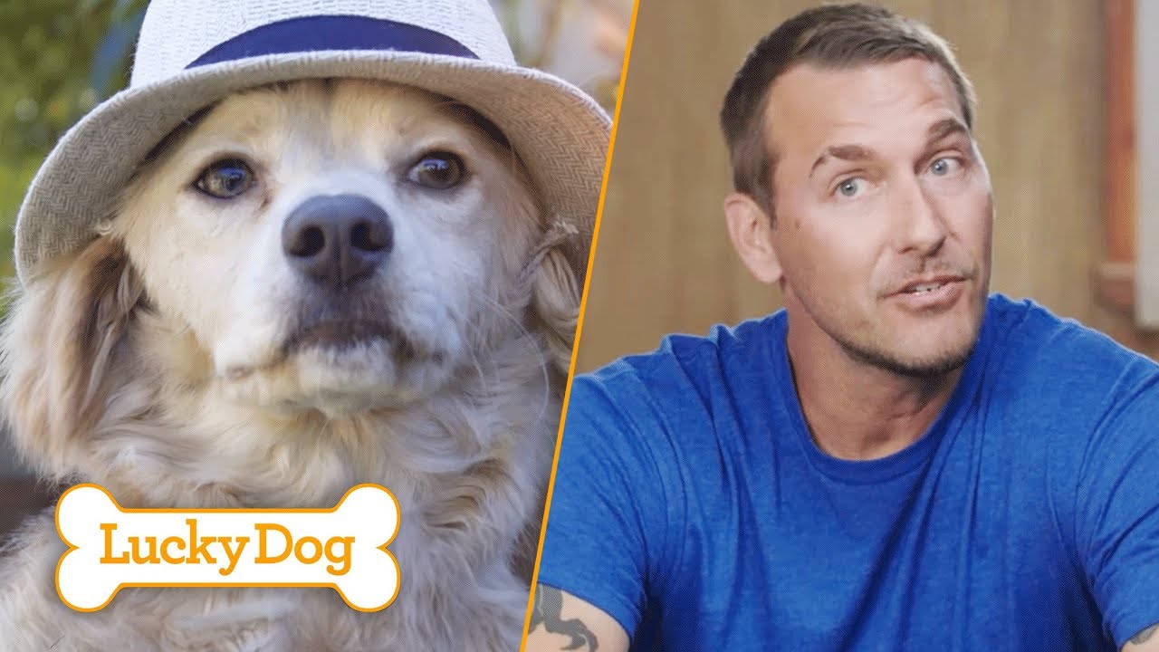 Taming an Unruly Dog Bean | Lucky Dog Full Episode - YouTube