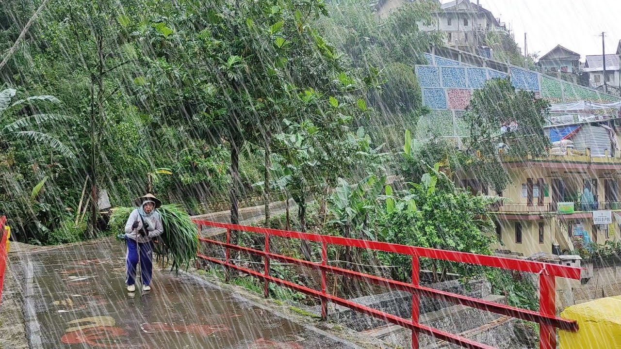 Heavy rain and super extreme thunderstorms 3 hour, walking in super ...