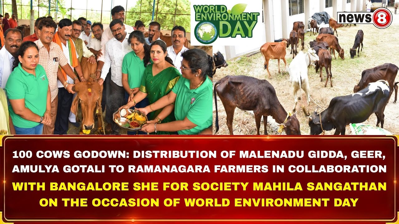 100 Cows Godown Distribution to Ramanagara farmers in collaboration ...