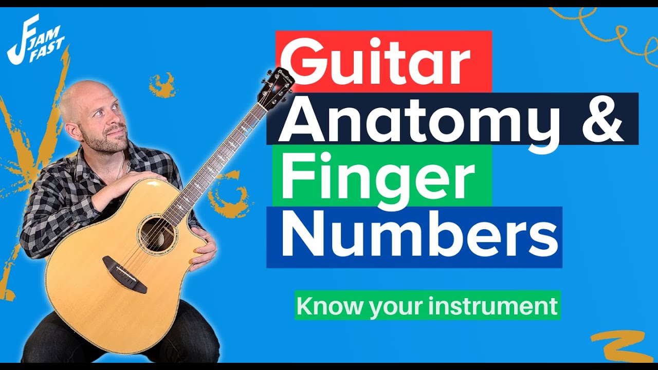 Guitar Anatomy & Finger Numbers - Getting Started with Guitar: 7-Day Jumpstart Beginner Course ...