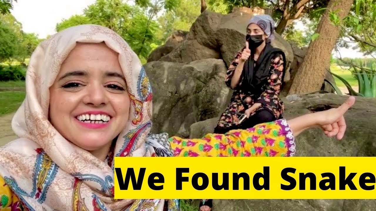 We Found Snake || Travel With My Friend || Mai Ta Darr Gai😜 - YouTube