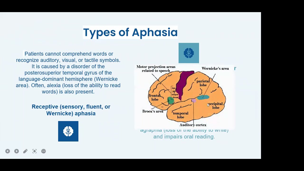 20 Speech disorders in diseases of the nervous system (aphasia ...