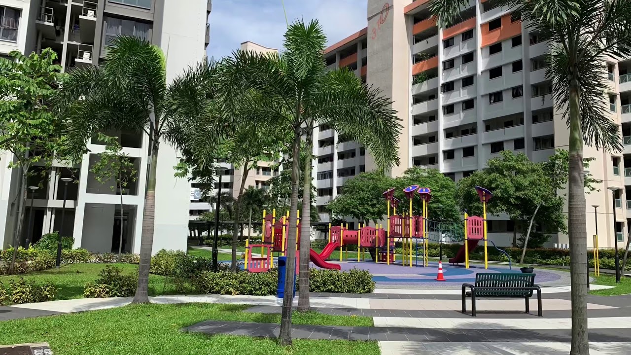 Trivelis DBSS - YouTube