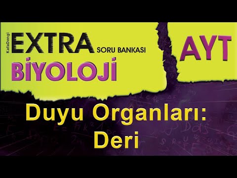 AYT Extra Biyoloji - Duyu Organları: Deri #63
