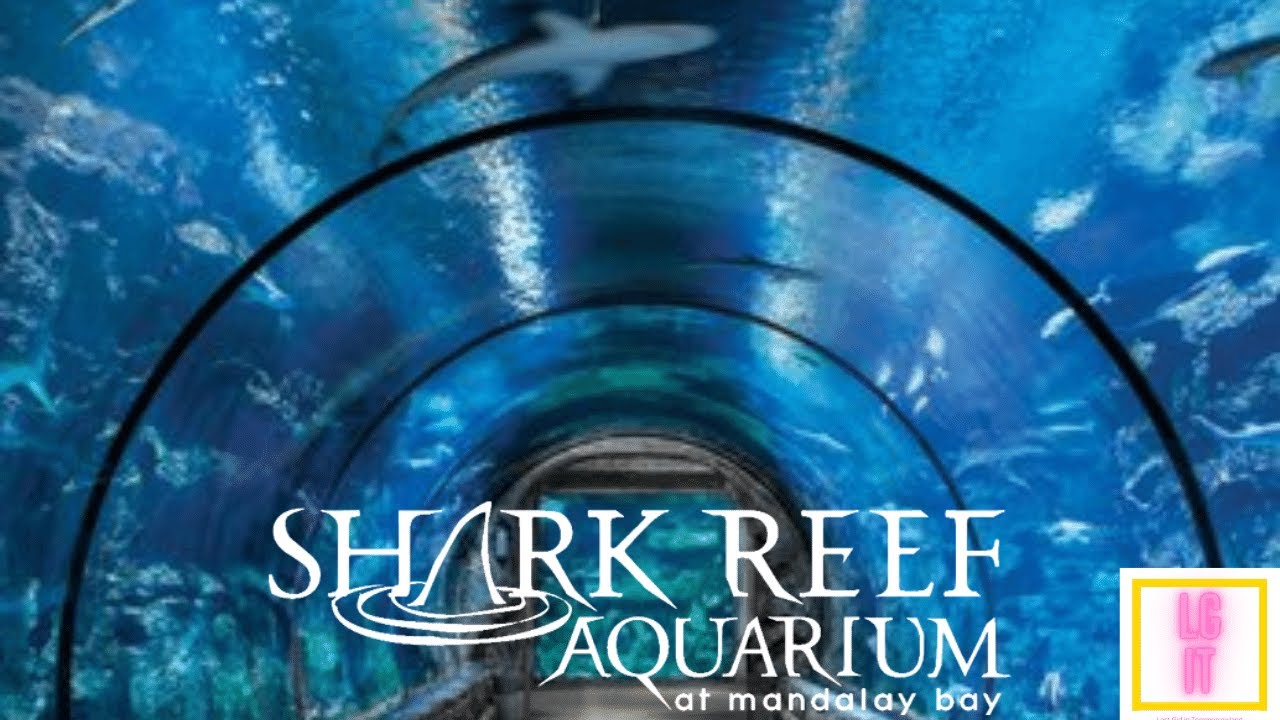 Mandalay Shark Reef