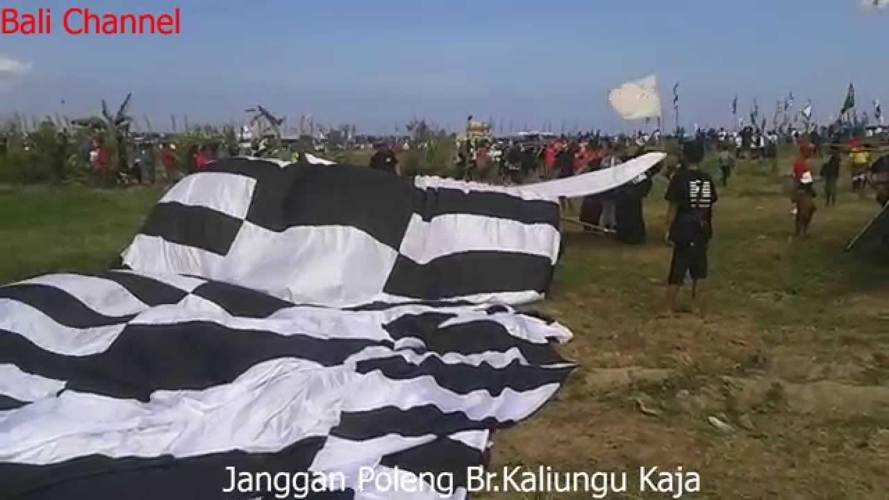 Lomba Layang Layang Bali 2014 | Bali Kites Festival 2014 | Janggan ...