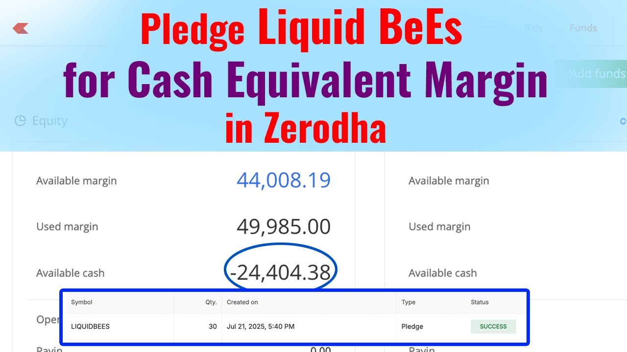 Pledge Liquid BeEs for Cash Equivalent Marginin Zerodha | Liquid BeEs ...