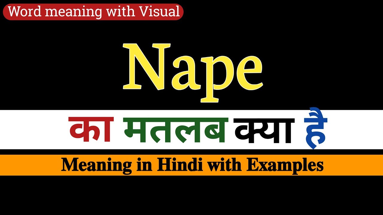 Nape meaning in Hindi || Nape का मतलब क्या होता हैं हिन्दी मैं समझें ...