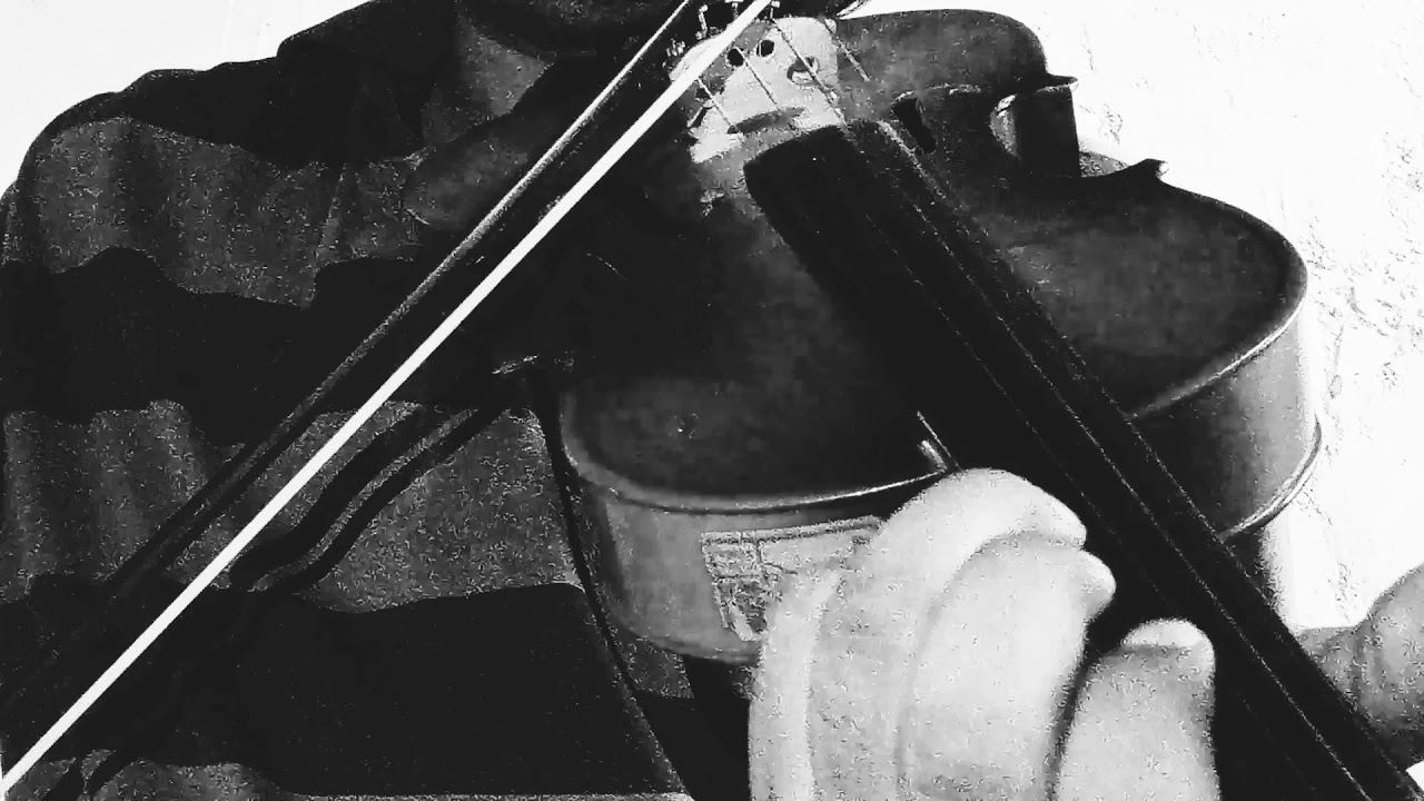 Geetham 6 Aana lekara violin with notes - YouTube