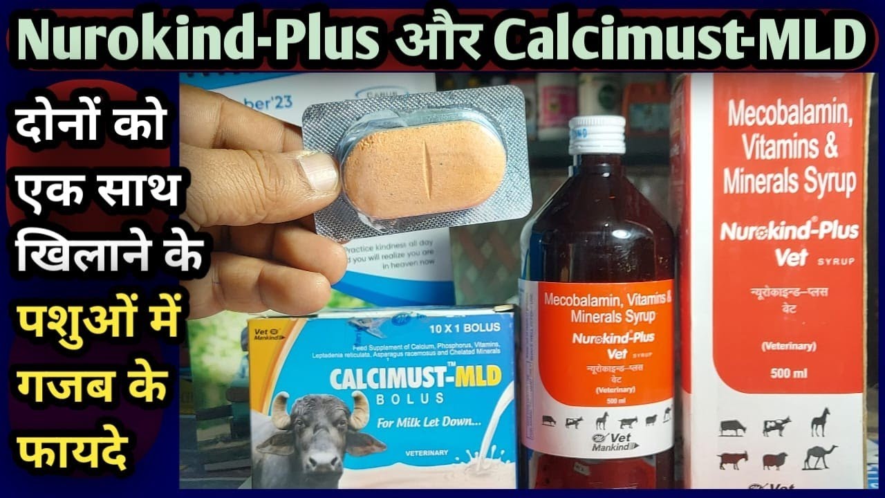Nurokind-Plus Syrup और Calcimust-MLD Bolus|| दोनों को एक साथ पशुओं को ...
