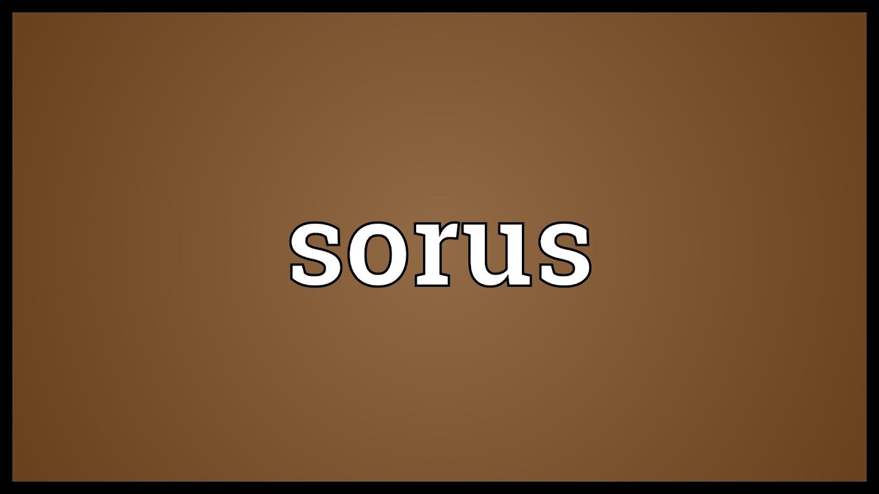 Sorus Meaning - YouTube