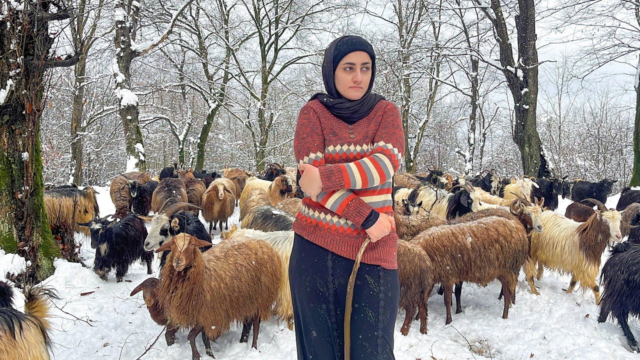 IRAN nomadic life | daily routine village life of Iran | Nomadic ...