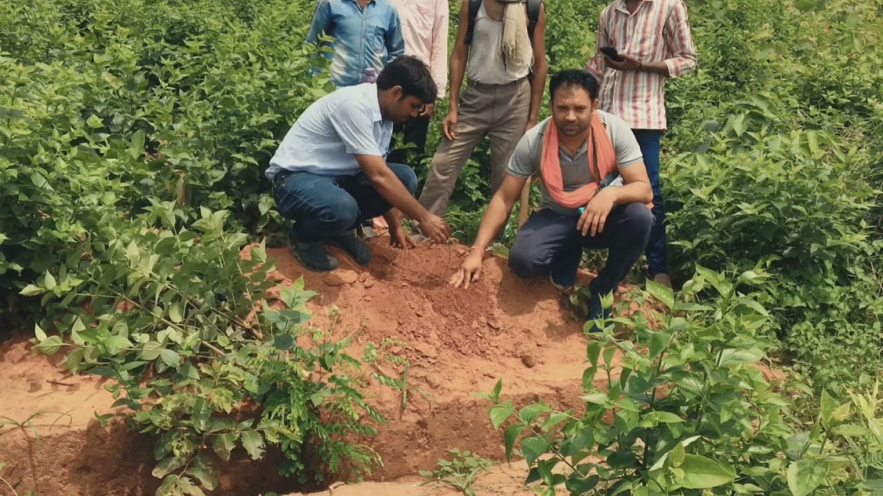 Staggered contour trench all - YouTube