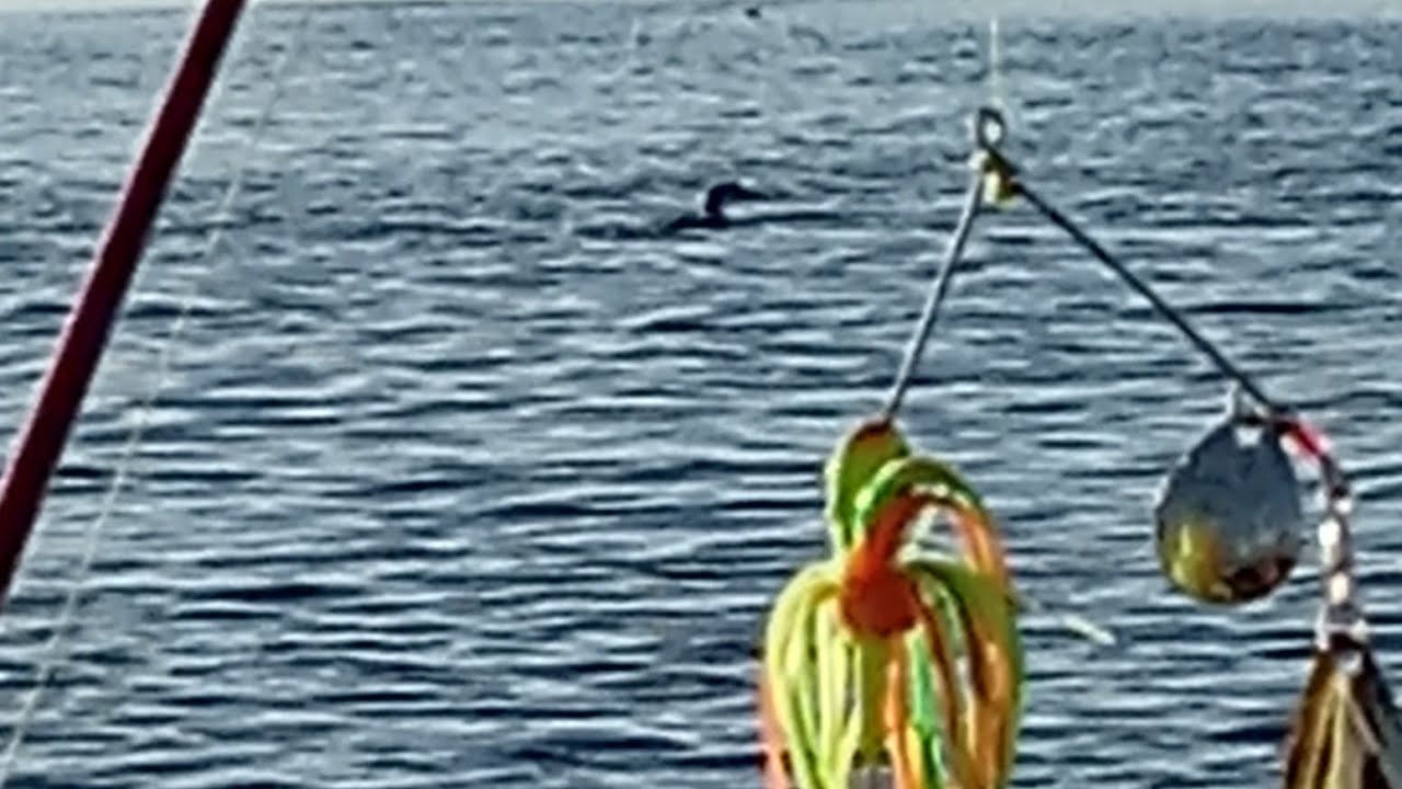Mason fishing adventure with Ben and great catches - YouTube