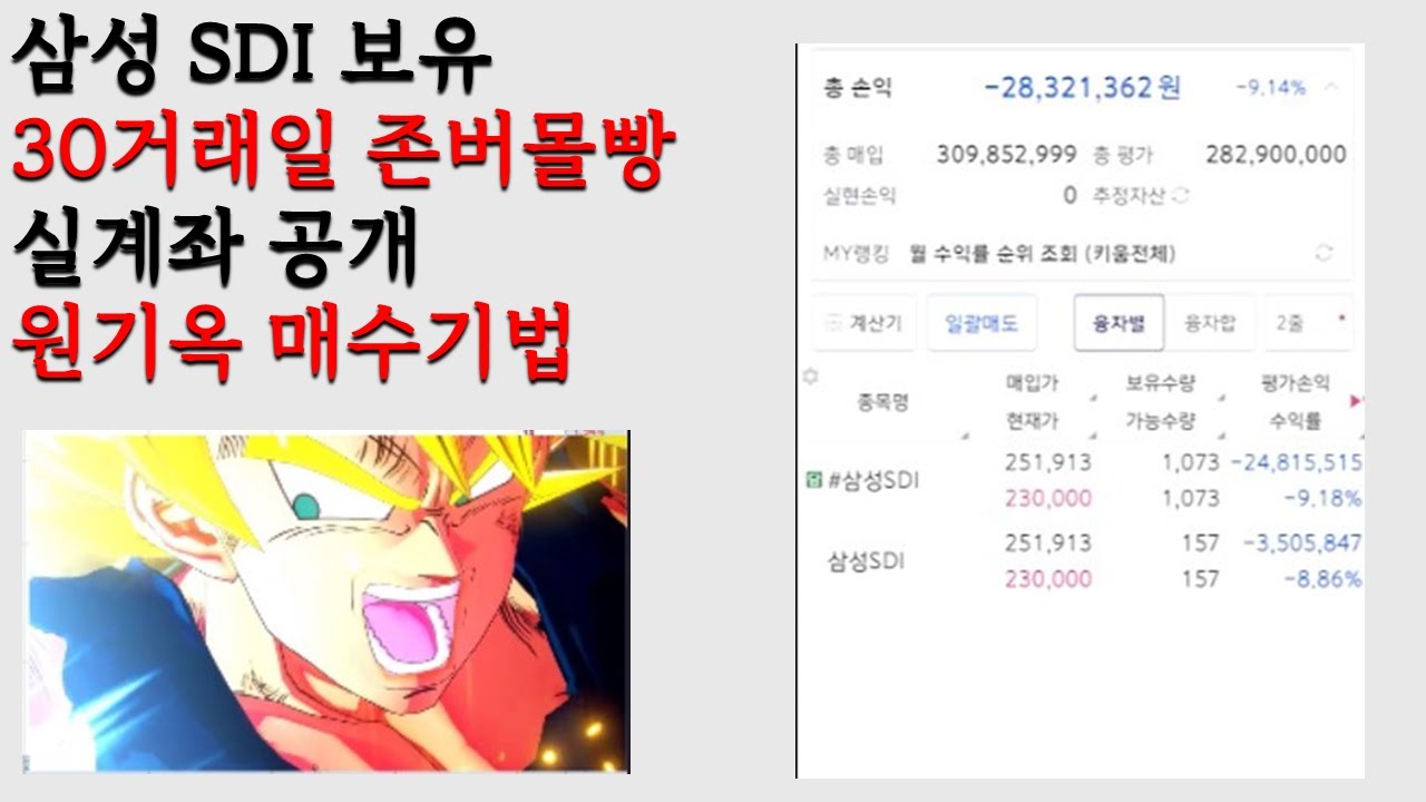 삼성SDI 30거래일 존버몰빵 실전비기 원기옥 매수 기법 - YouTube