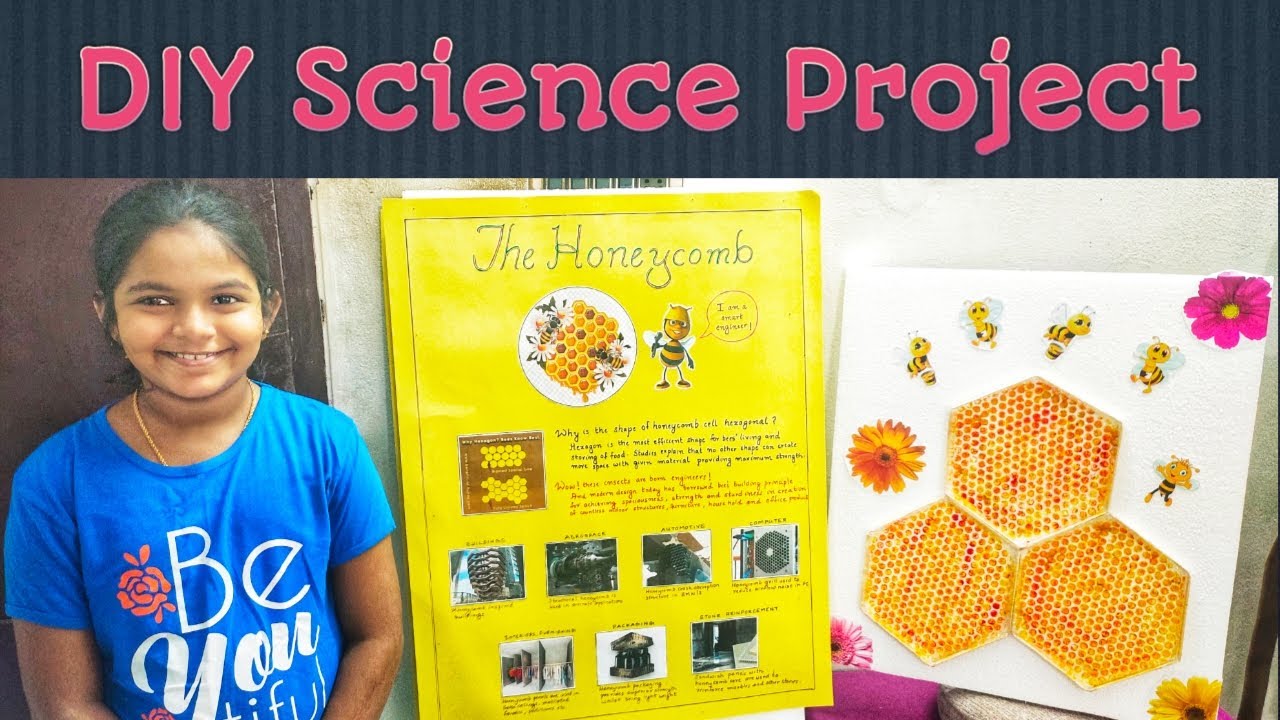 DIY Honeycomb Science Project #schoolproject #diy #honeycomb # ...