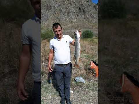 Müsteri temsilcisinin  Yaşar KESKİN'le mücadelesi