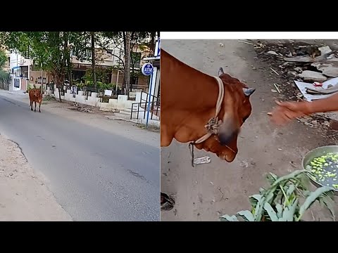 கிறுக்கு பய sir நான்:பொழப்ப விட்டுட்டு என்ன வேலை பார்த்துகிட்டு ...