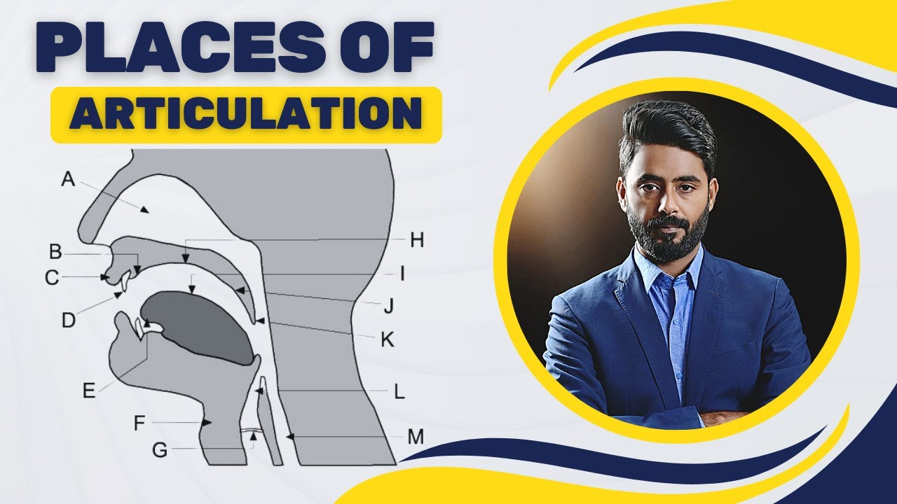 Places of articulation | Phonetics | Linguistics - YouTube