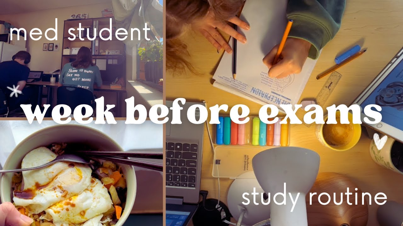 study week // med school exams 🩺🩻 - YouTube