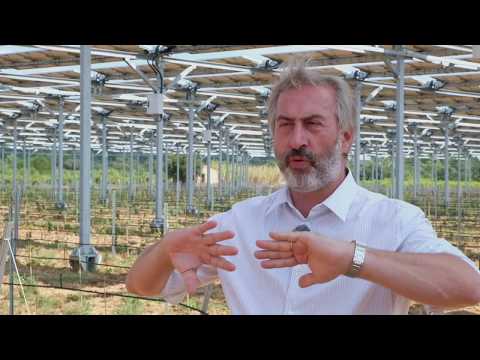 [INNOVER] Première centrale agrivoltaïque au monde