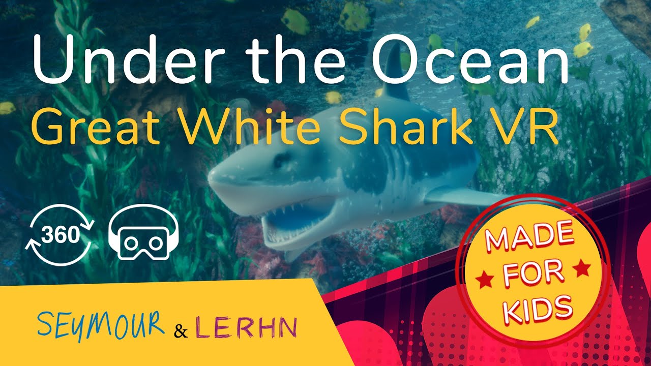 VR for Kids | Swim with a Shark 🦈 - YouTube