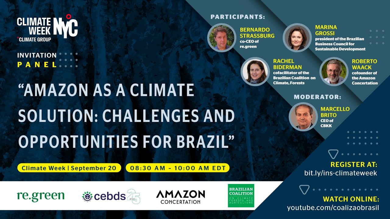 Amazon as a Climate Solution: Challenges and Opportunities for Brazil ...