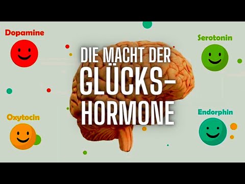 Glückshormone & Motivation  | Wie Dopamin, Serotonin, Oxytocin und Endorphine in Gehirn wirken