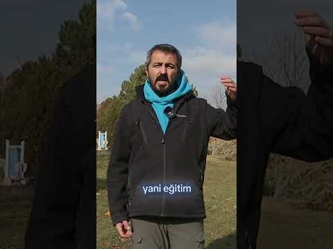 Doberman veya Showline Alman Çoban Köpekleri Ülkemizde Neden İyi Eğitilemiyor?