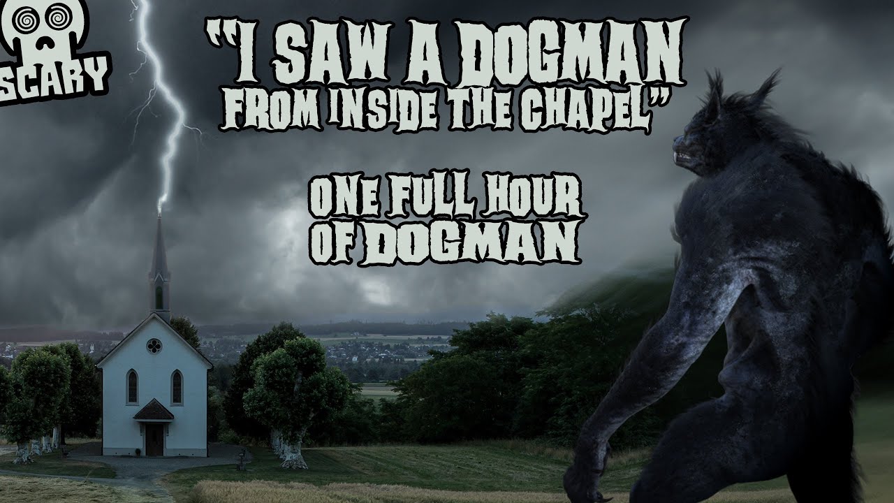 One Hour Dogman Special! 4 Dogman Stories! - YouTube