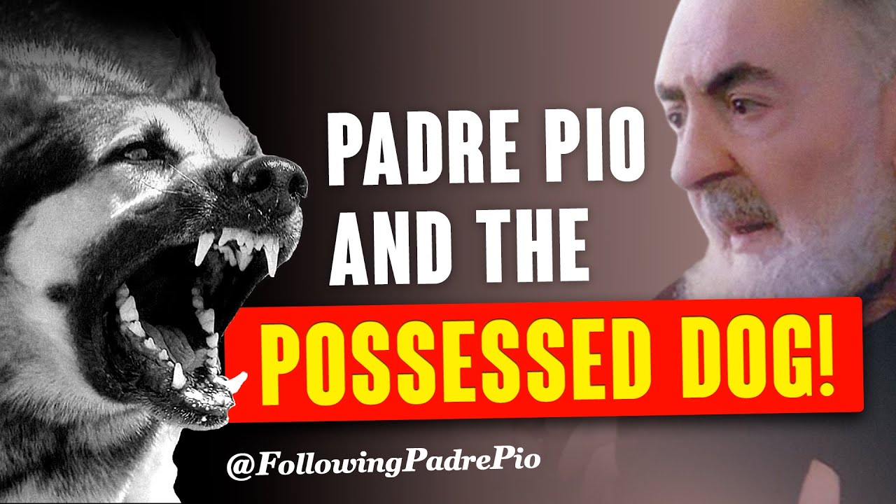 Padre Pio And The Possessed Dog! - YouTube