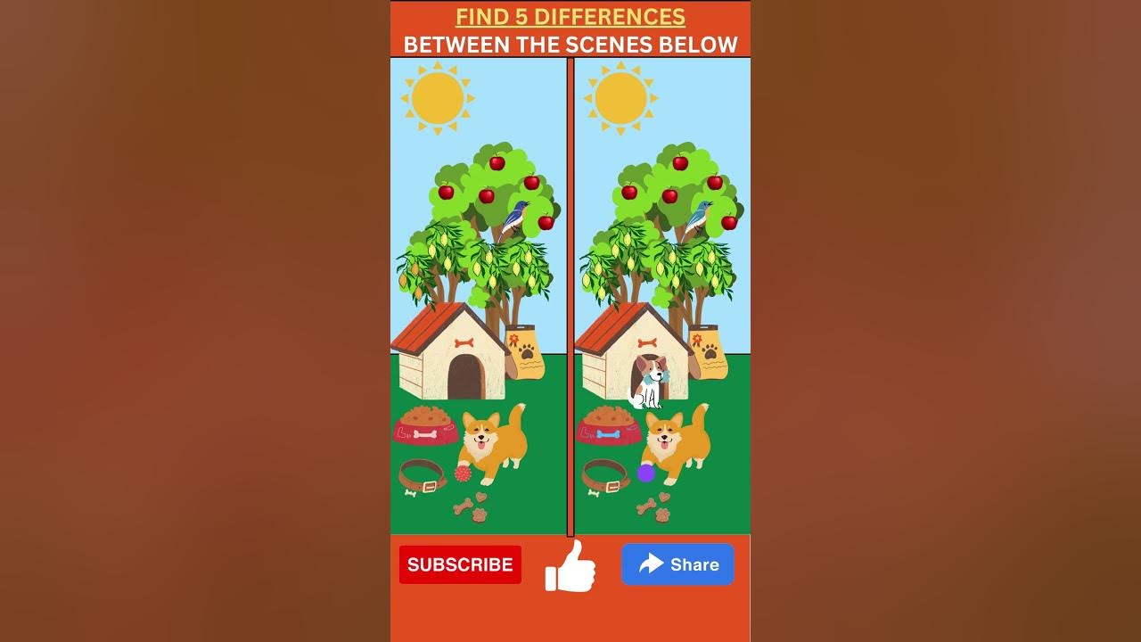 SPOT 5 DIFFERENCES Between These Pictures Find The Difference Games spot-5-differences-between-these-pictures-find-the-difference-games