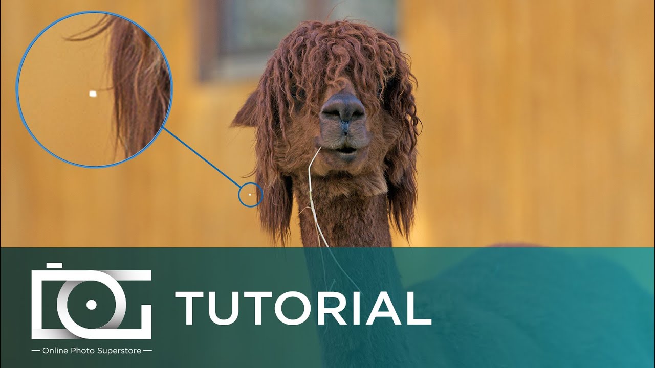 Fix Stuck Pixels | Stuck / Hot Pixel Fix | Canon How-To Video - YouTube