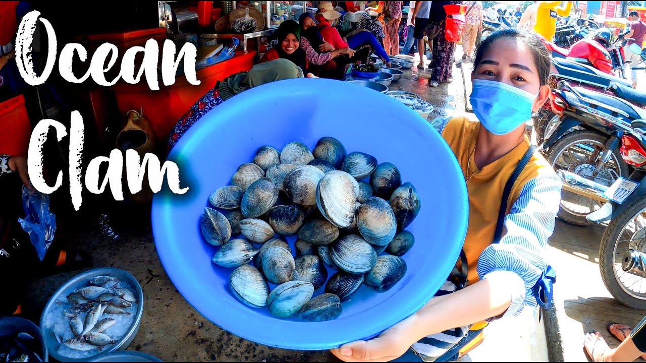 Market Tour - Buy Ocean Clam For Cooking Food - Ocean Clam Omelet Egg ...