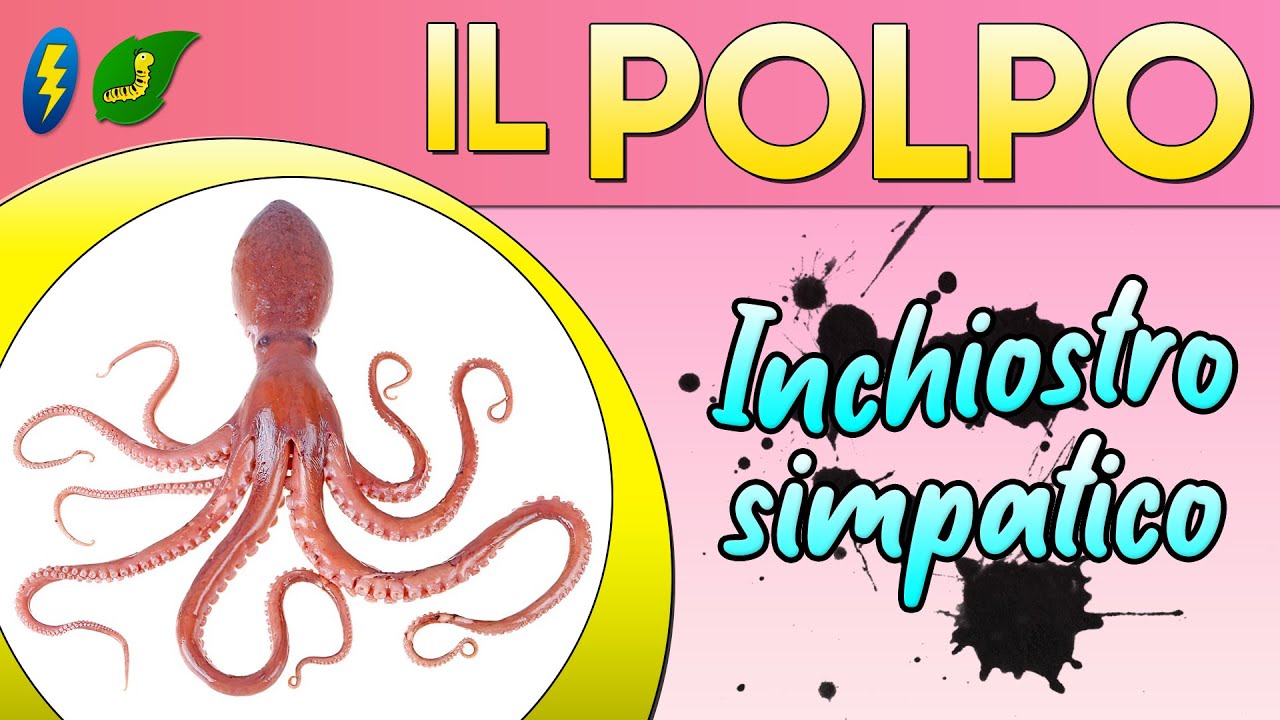 Il Polpo, inchiostro simpatico ⚡ - YouTube