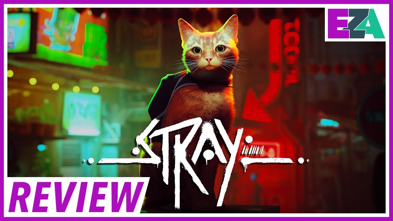 Stray Easy Allies Review Youtube
