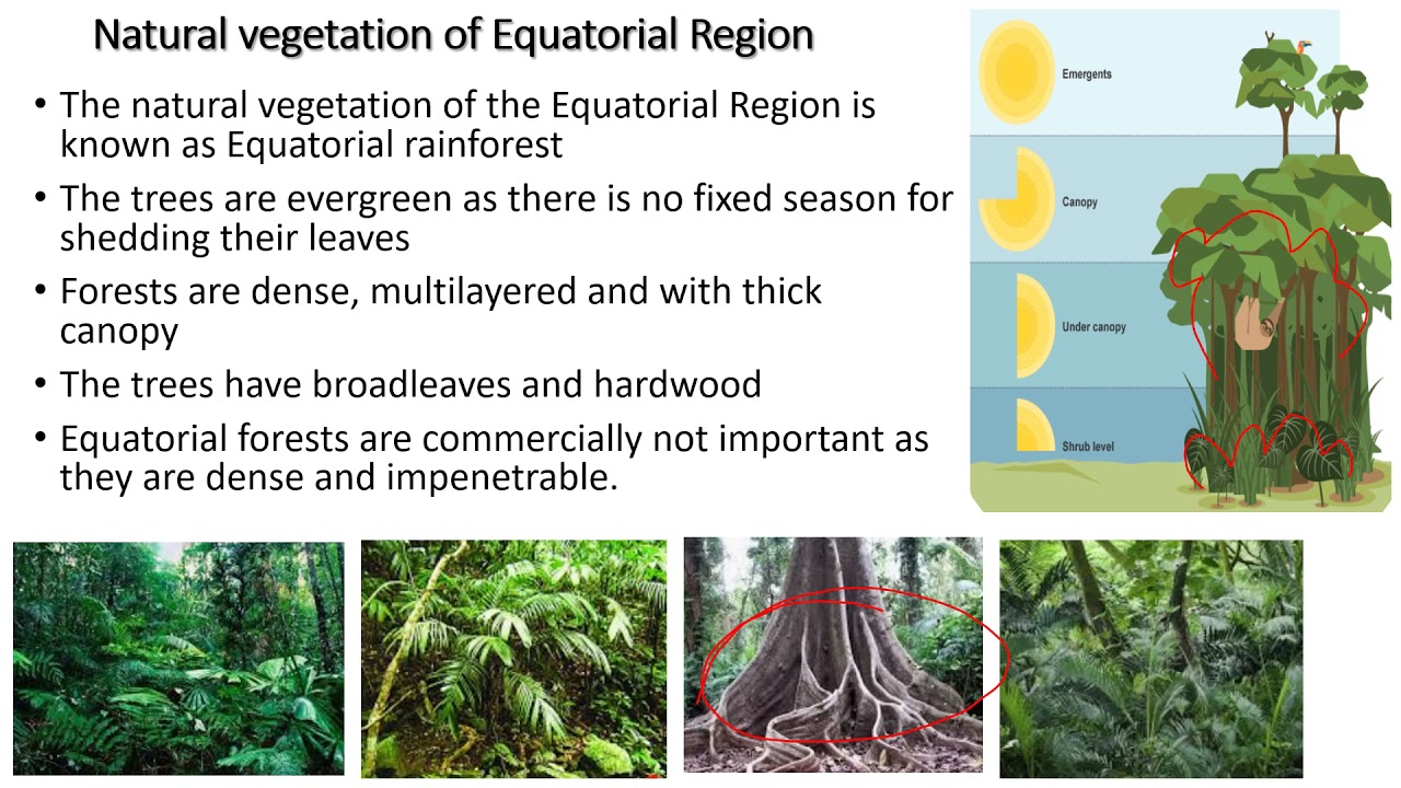 ICSE Grade 9 Natural Regions Part 2 YouTube ICSE Grade 9 Natural Regions Part 2 YouTube