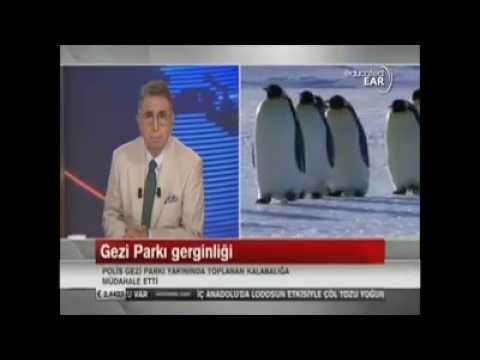 Orantısız Basın   Educatedear